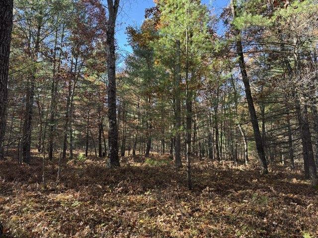 County Line Rd Parcel 2, Free Soil, MI 49411