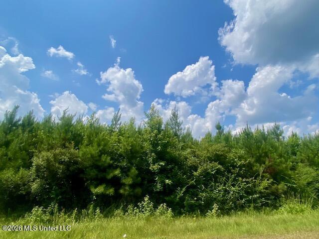 County Line Road, Summit, MS 39666