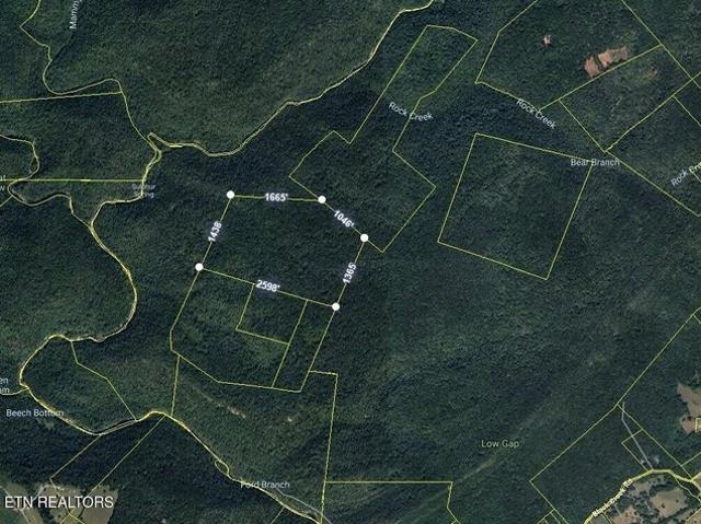 County Line, Rockwood, TN 37854