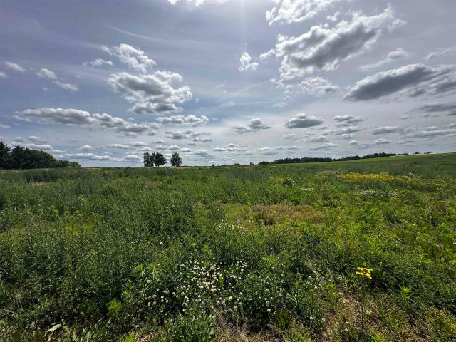 County St N, Waldo, WI 53093 | MLS #2019