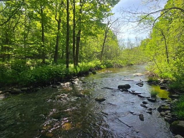 County Route 95, Lorraine, NY 13659
