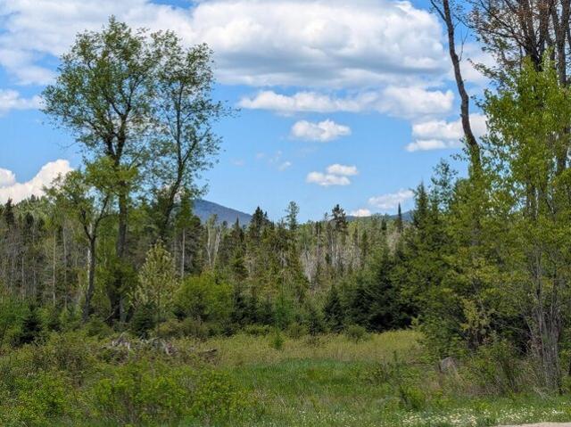 County Route Lot,rainbow Lake, Plot For Sale
