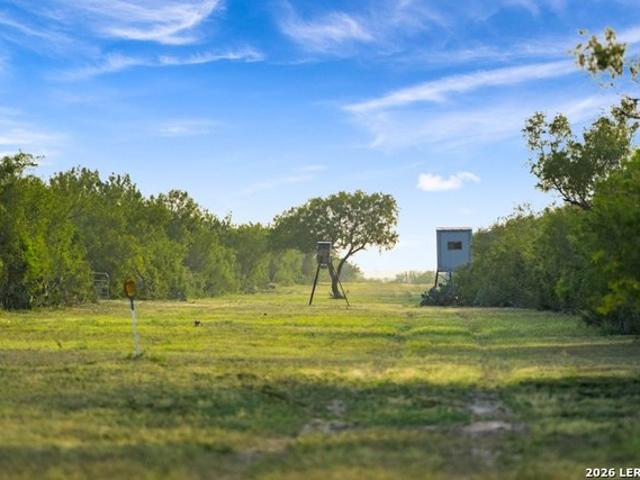 County Road 401, Freer, TX 78357