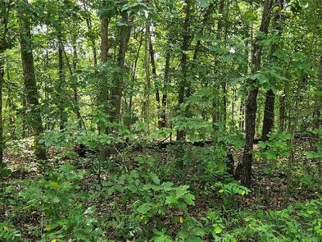 County Road 4050, Salem, MO 65560