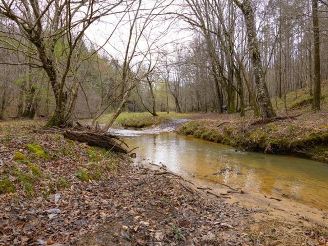 County Road 405, Haleyville, AL 35565