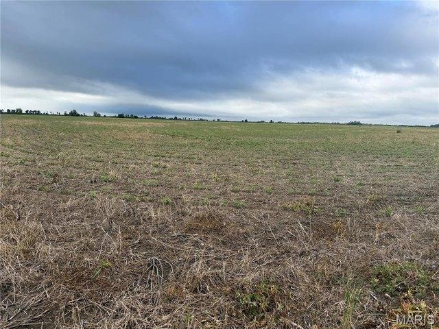 County Road 406, Hayti, MO 63851