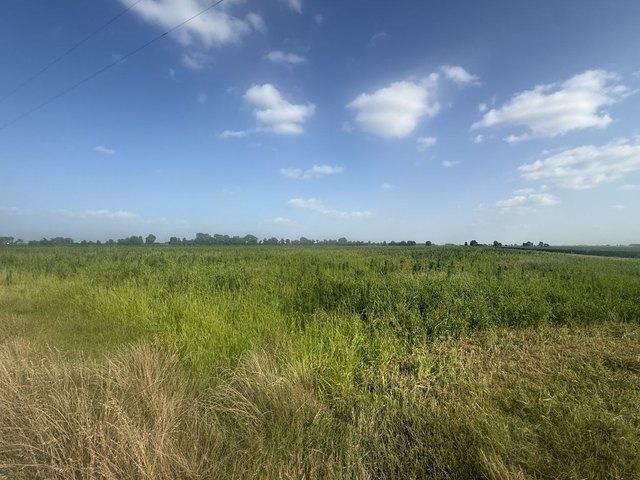 County Road 406, Hayti, MO 63851