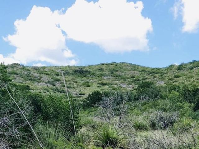 County Road 408, Uvalde, TX 78801