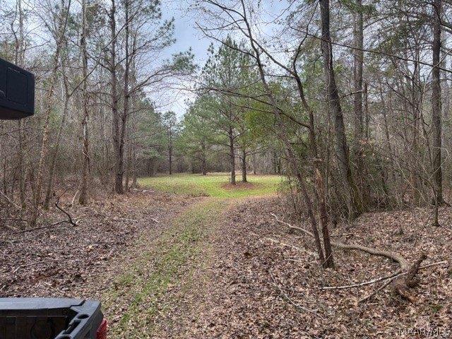 County Road 40 W, Billingsley, AL 36006