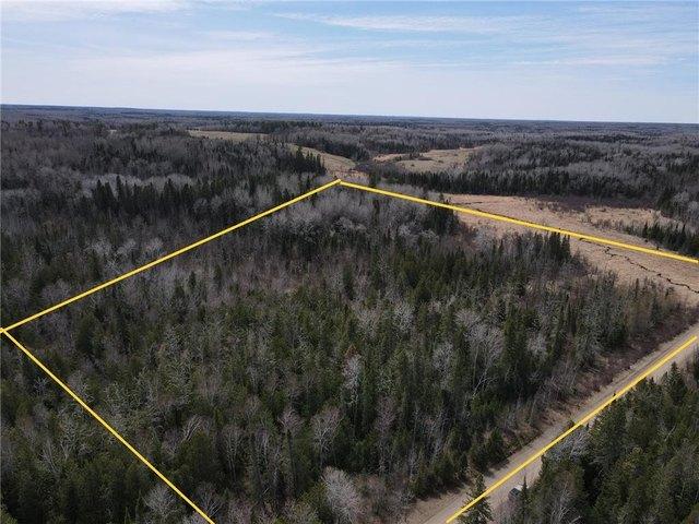 County Road 40, Effie, MN 56639