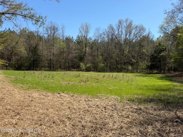 County Road 4102, Goodman, MS 39079