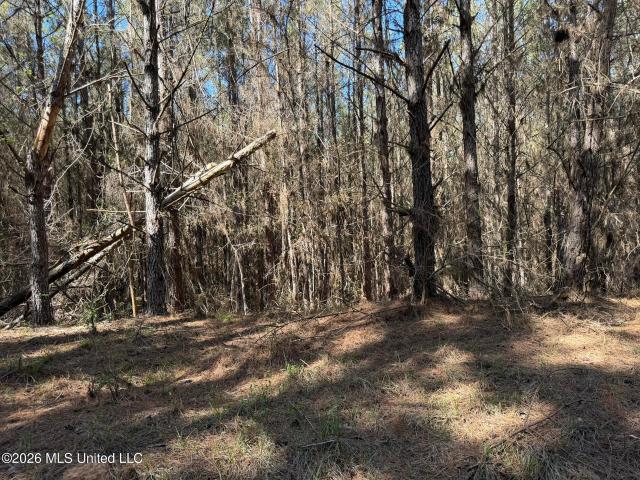 County Road 4103, Sallis, MS 39160