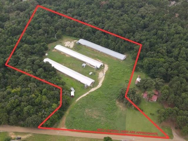 County Road 4114, Pittsburg, TX 75686