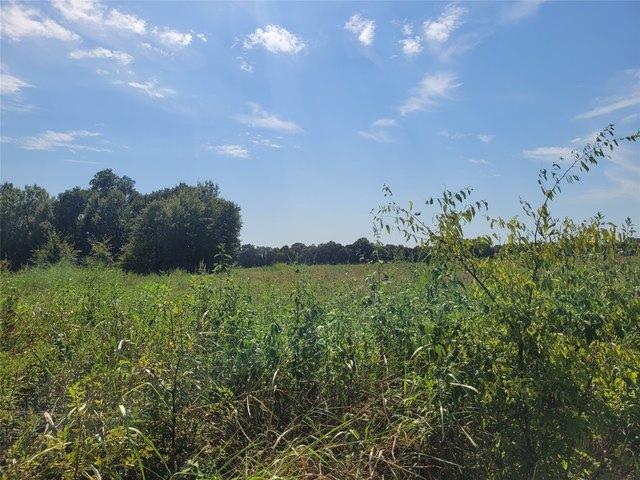 County Road 4135, Clarksville, TX 84526