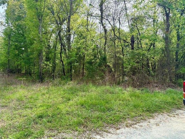 County Road 4131, Mount Vernon, TX 75457
