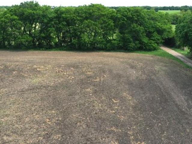 County Road 4142, Bonham, TX 75418