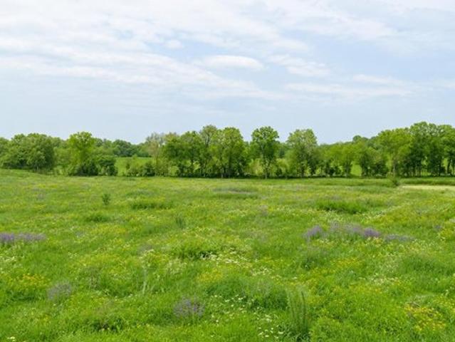 County Road 417, Alton, MO 65606