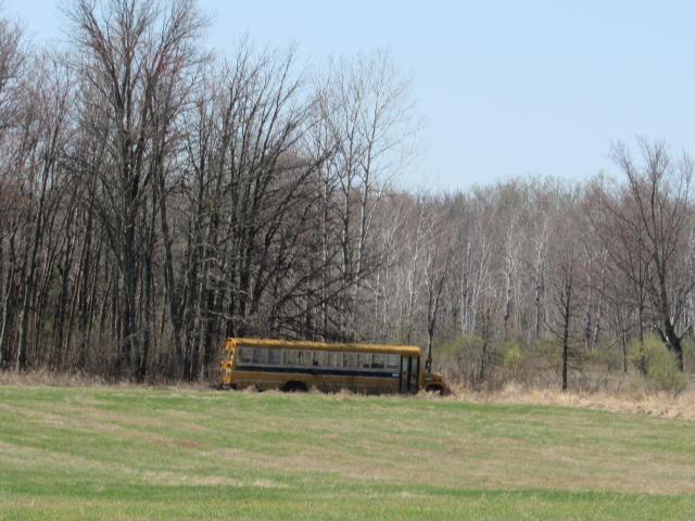 County Road 41
