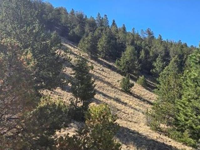 County Road 41G, Center, CO 81125