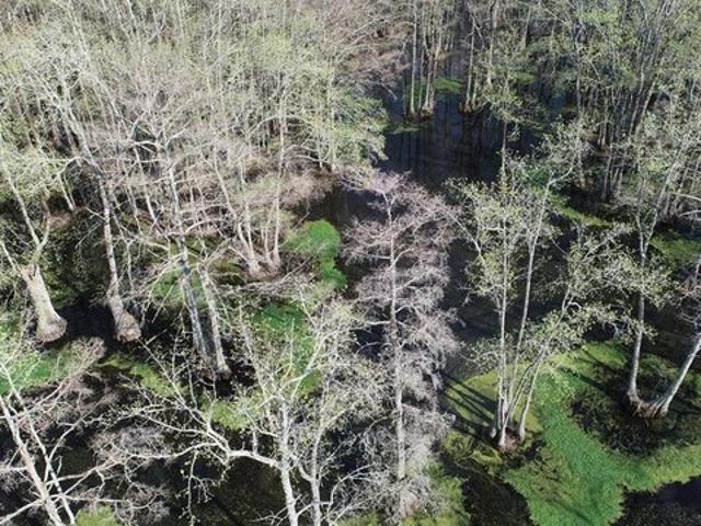 County Road 420, MS 38944