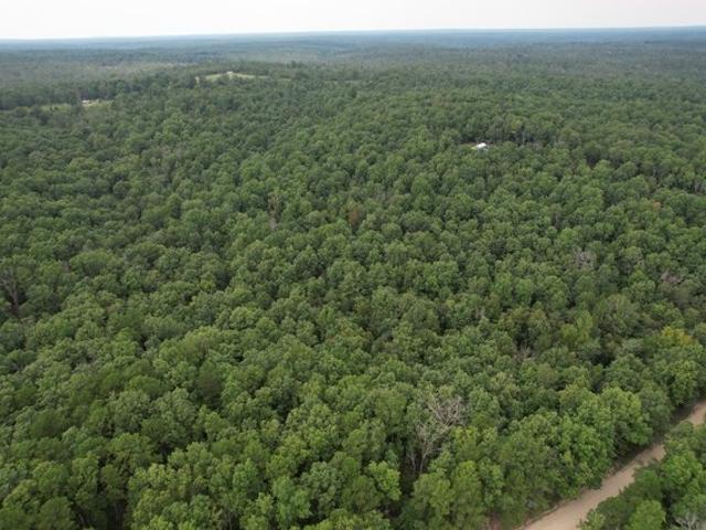 County Road 421, Birch Tree, MO 65438