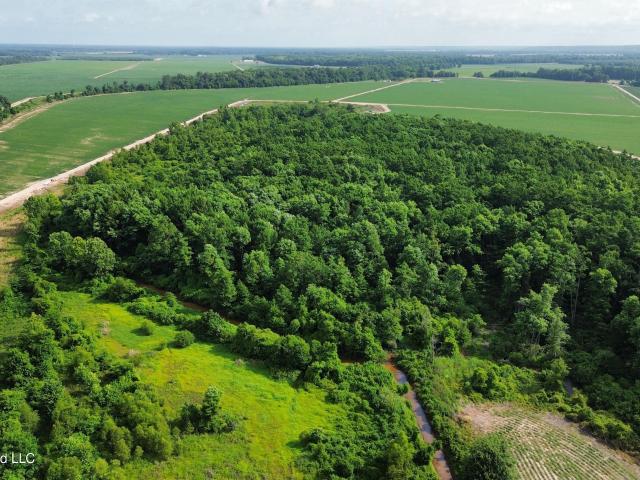 County Road 430, Sidon, MS 38954