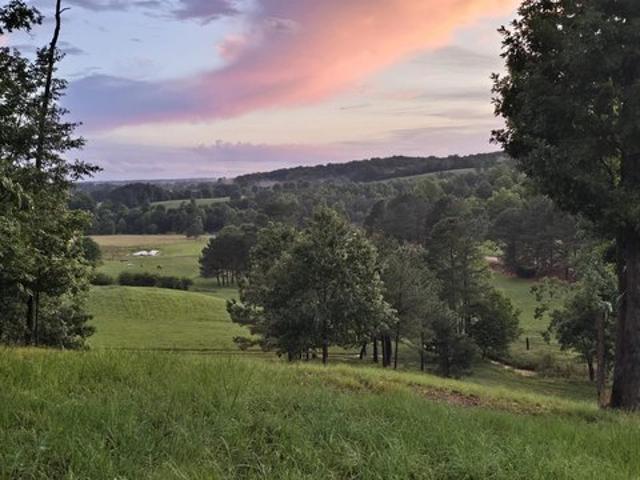 County Road 436, Cullman, AL 35057
