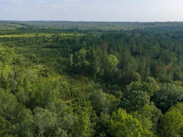 County Road 436, Laneville, TX 75667