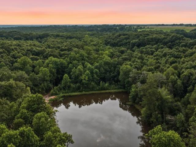 County Road 438, Elba, AL 36323
