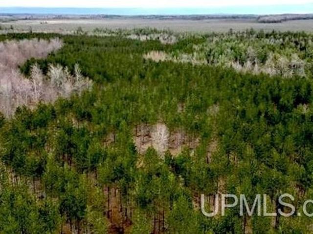 County Road 440, Wetmore, MI 49849