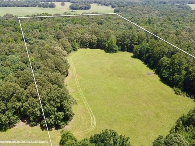 Tract 6 County Road 44400, Powderly, TX 75473