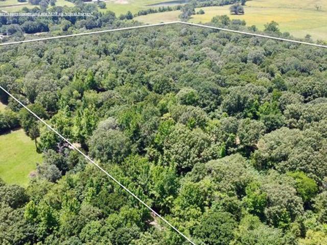 County Road 44400, Powderly, TX 75473
