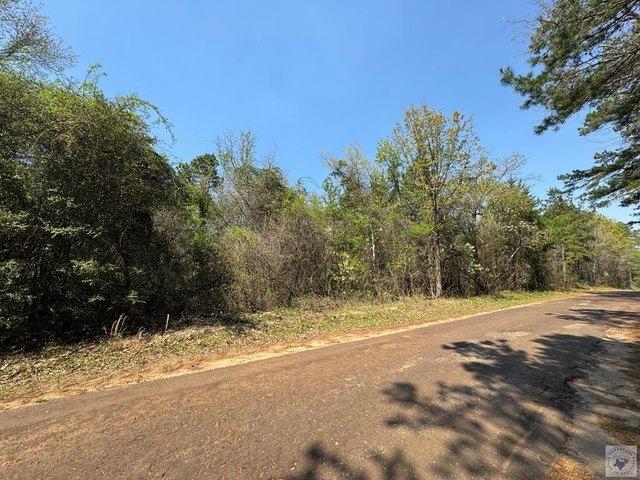 County Road 4451, McLeod, TX 75555
