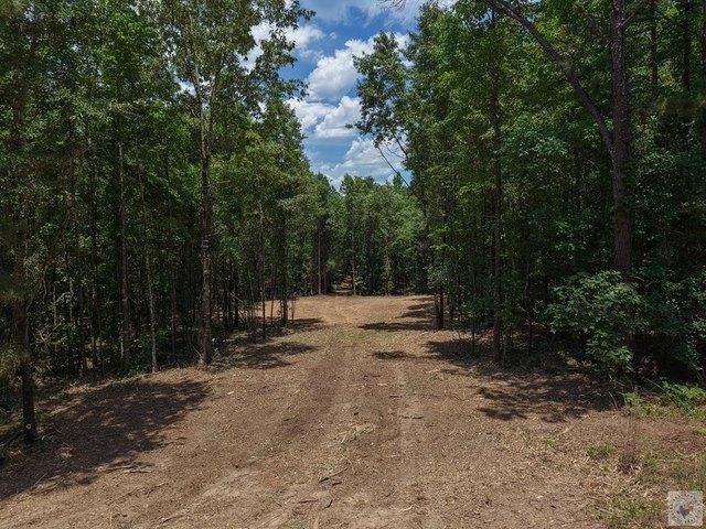 County Road 4452, McLeod, TX 75555
