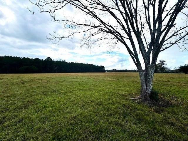 County Road 4472, Warren, TX 77664