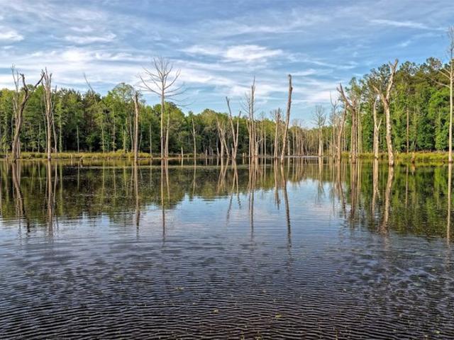County Road 448, Carthage, TX 75633