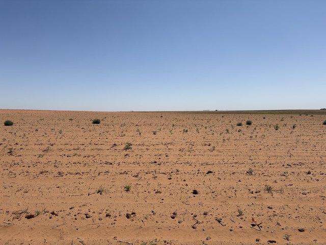 County Road 450, Brownfield, TX 79316