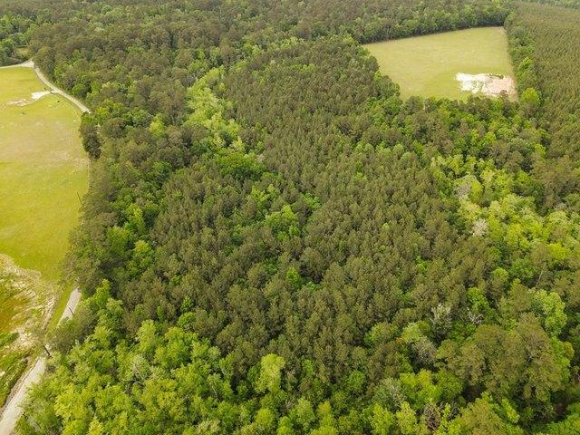 County Road 451, Roganville, TX 75956