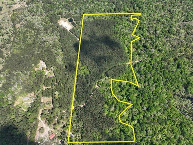 County Road 4525, Warren, TX 77664