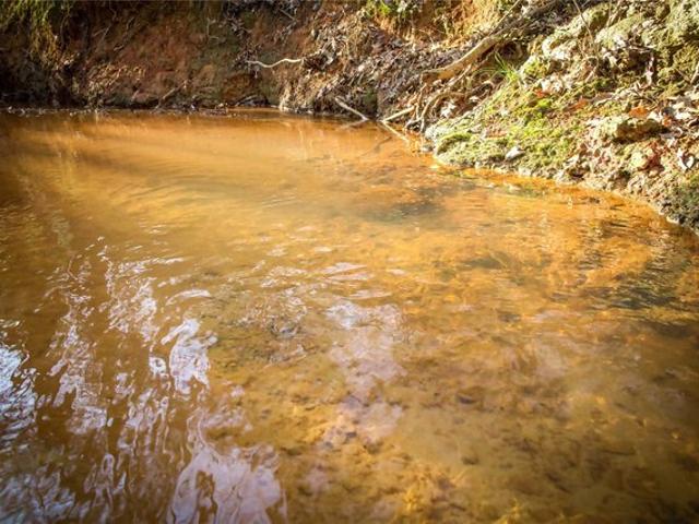 County Road 453, Henderson, TX 75654