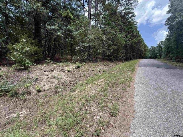 County Road 4556, Winnsboro, TX 75494