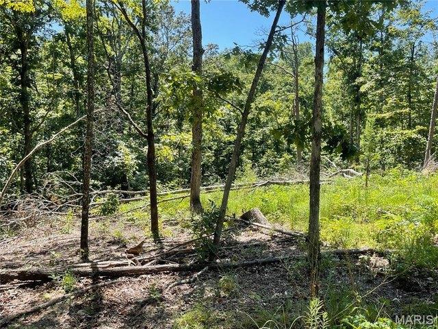 County Road 456, Piedmont, MO 63957