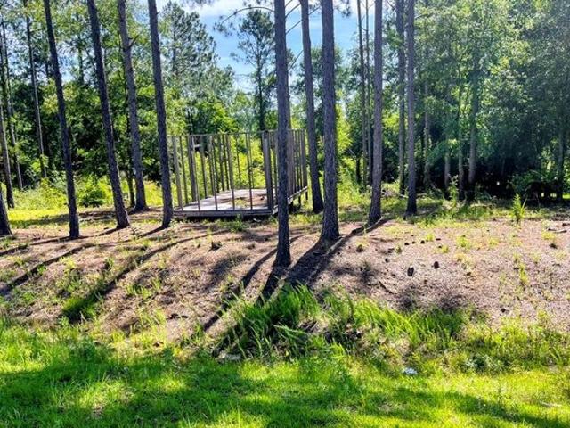 County Road 45, Headland, AL 36345
