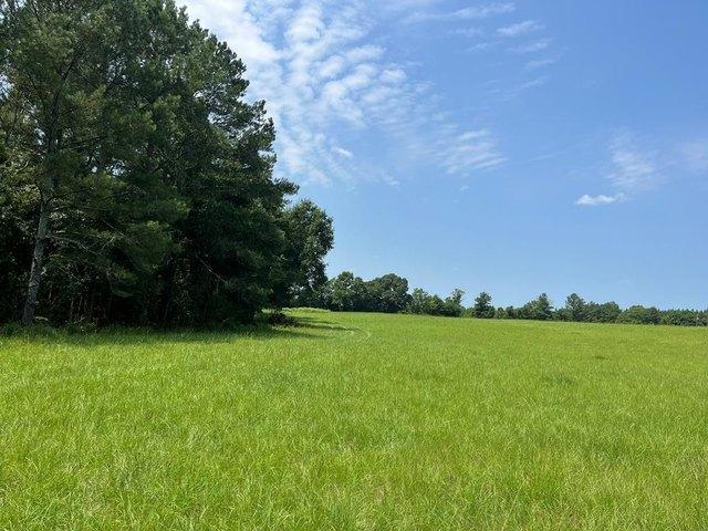 County Road 45, Headland, AL 36345