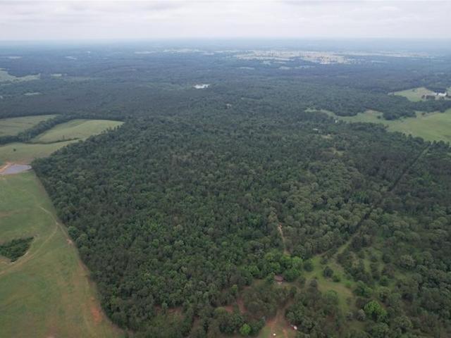 County Road 461, Laneville, TX 75667