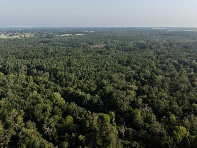 County Road 461, Laneville, TX 75667