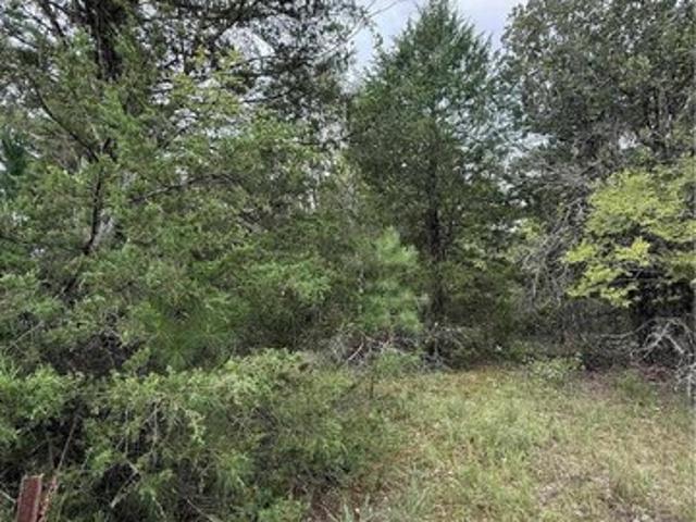 County Road 4620, Troup, TX 75789
