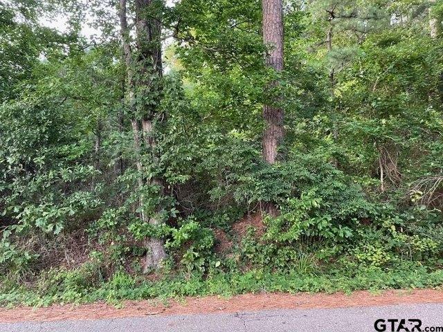 County Road 4705, Troup, TX 75789