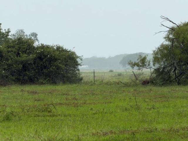 County Road 476, Blessing, TX 77419