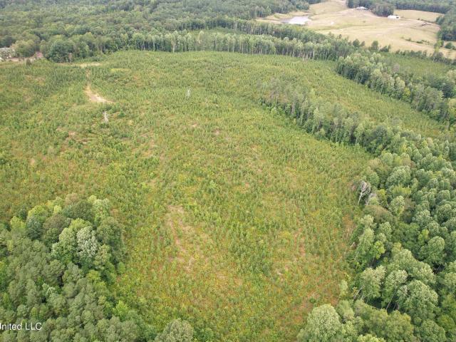 County Road 481, Paris, MS 38949